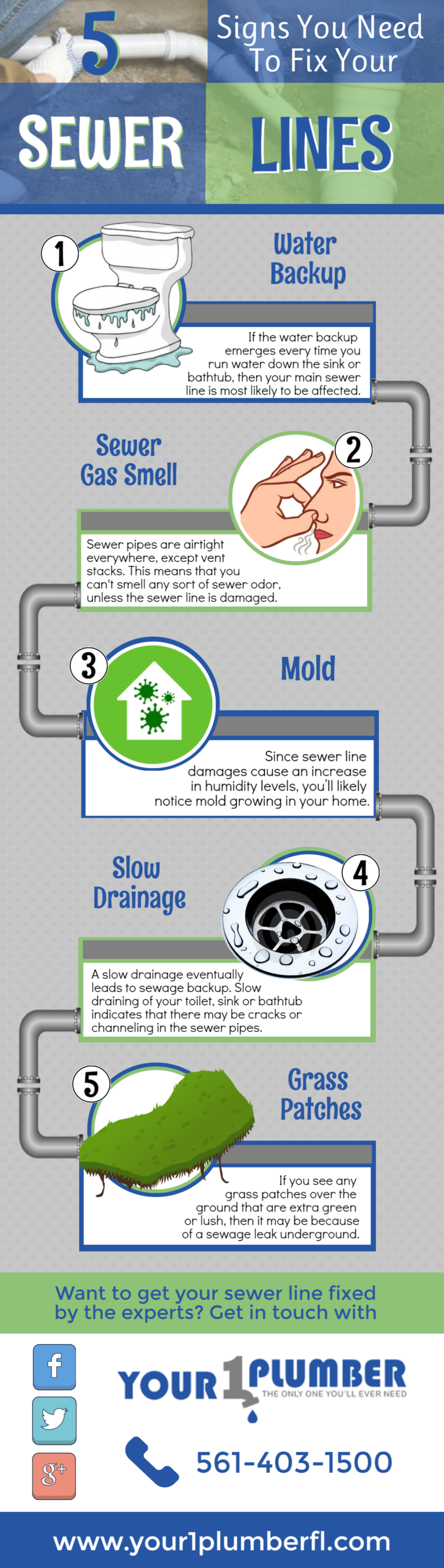 5 Signs You Need To Fix Your Sewer Lines- Infographic | Blog | Your 1 ...