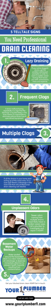 5 Telltale Signs You Need Professional Drain Cleaning – Infographic ...