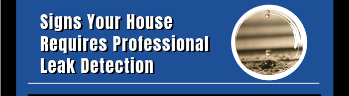 Signs Your House Requires Professional Leak Detection | Blog | Your 1 ...